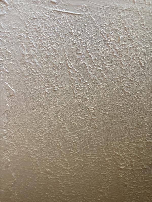 Homax Roll-on texture 2-Gallon White Sand Water-based Wall and Ceiling ...