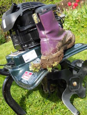 Bolens BL250 158-cc 24-in Front-Tine Forward-rotating Tiller at Lowes.com