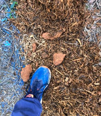NoFloat 2-cu ft Cypress Blend Mulch in the Bagged Mulch department at ...