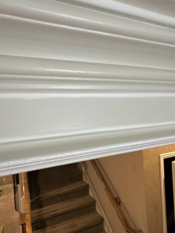 Zinsser Peel Stop Triple Thick Interior/Exterior Multi-purpose Water ...