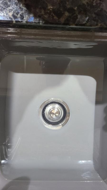 InSinkErator Evolution 55ss Advanced Series Continuous Feed 1-HP Septic ...