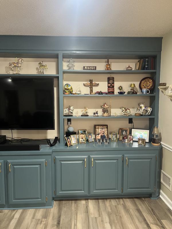 HGTV HOME by Sherwin-Williams Showcase Flat Ultra White Tintable ...