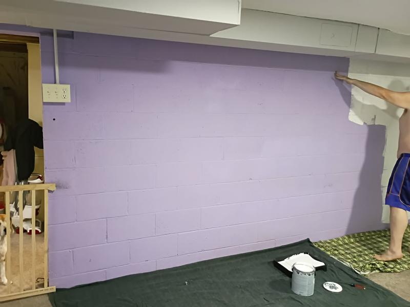 Valspar Signature Eggshell Plum Brown HGSW3401 Latex Interior Paint ...