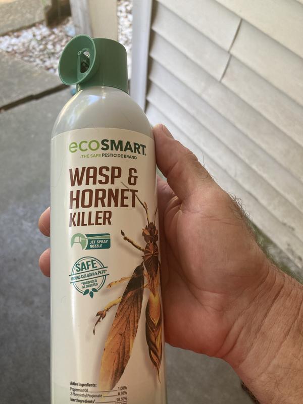 EcoSMART 14-fl oz Natural Insect Killer Aerosol (2-Pack) ECSM-33529 ...