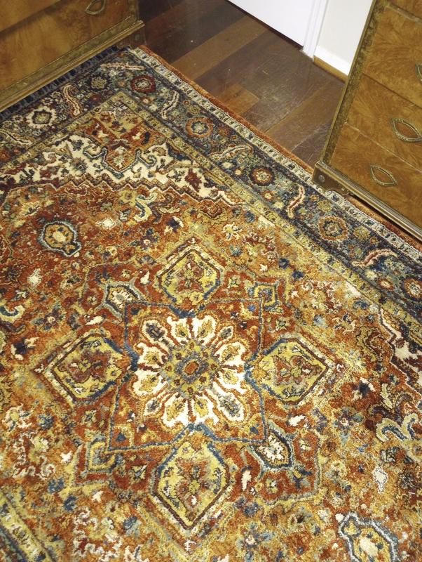 allen + roth with STAINMASTER Jezebel Performance 5 x 8 (ft) Loomed ...