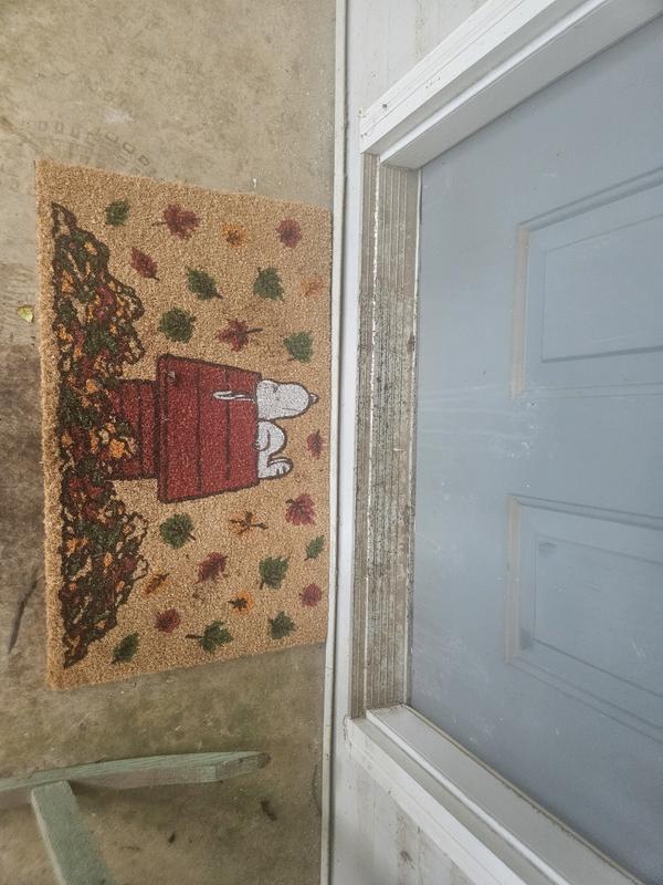 Peanuts 18-in x 30-in Multicolor Coir Non-Slip Grip Indoor or outdoor ...