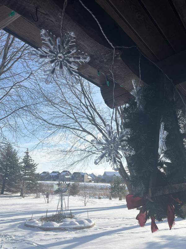 GE Snowflake 8-Count Multi-function Color Changing Snowflake LED Plug ...