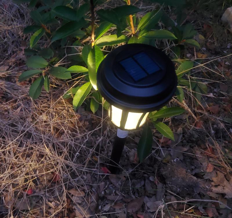 Portfolio 2-Pack 100-Lumen-Watt Black Solar LED Outdoor Path Light with Motion Sensor (3300 K ...