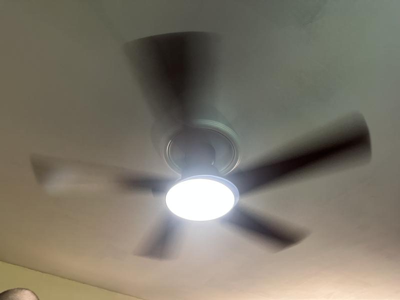 SILJOY 44-In Black Ceiling Fan with LED Light Remote Control App ...