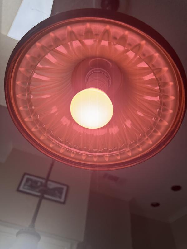 Philips Hue Hue Matter Certified 75 -Watt EQ A19 Color-changing Medium ...