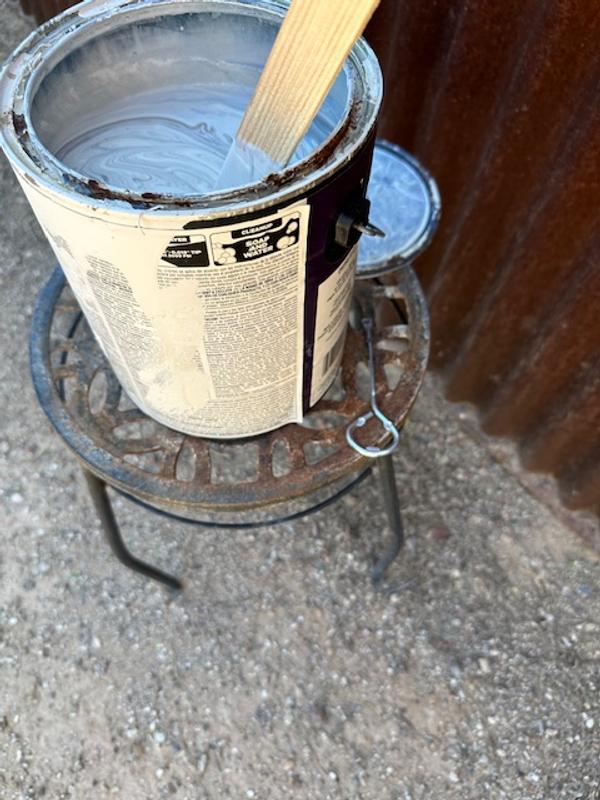 Project Source 1 Gal Paint Stick 10 Pack LWSPROS-10 at Lowes.com