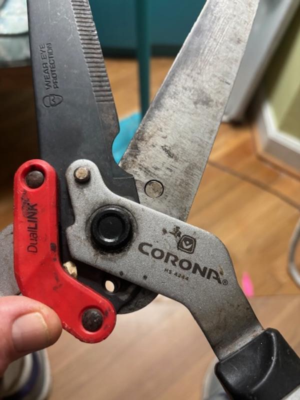 Corona 9-in Standard Hedge Shears HS 4244D at Lowes.com