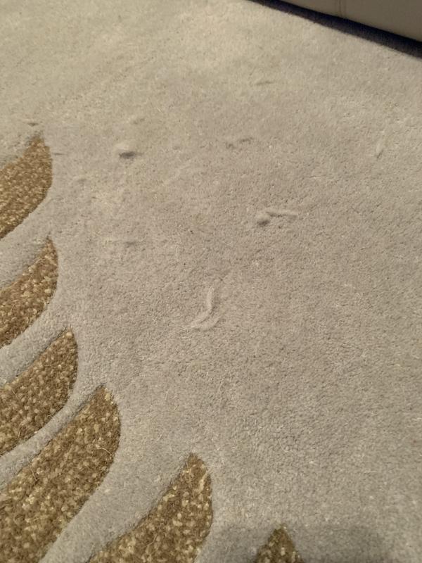 Safavieh Soho Fernesh 2 x 10 (ft) Tufted Wool Light Blue Rectangular ...