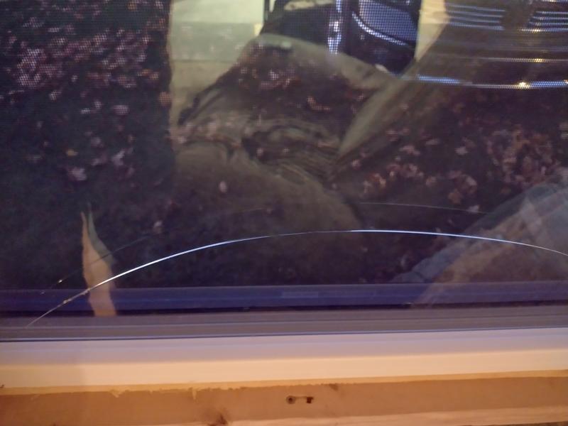 United Window & Door PRO Series 35-1/2-in x 53-1/2-in Black White Vinyl ...