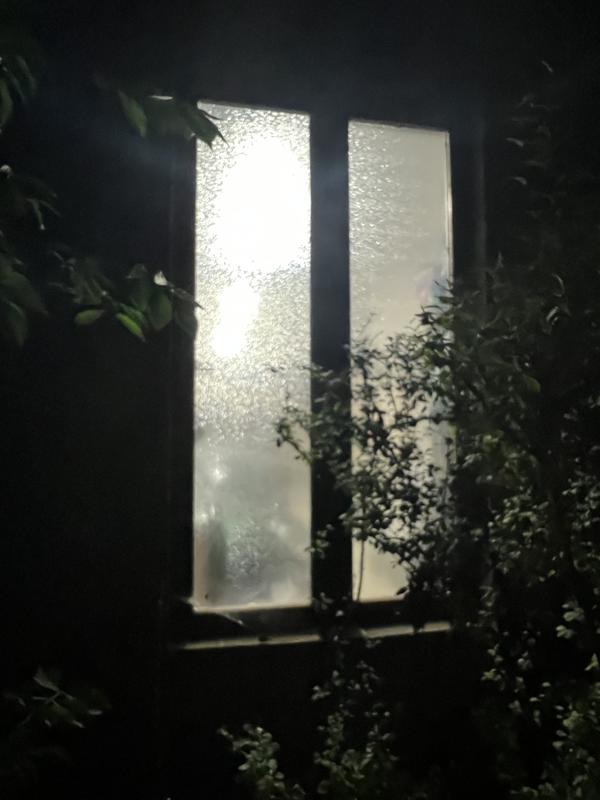 GILA Glass Scenes 36-in x 78-in Crackled Glass Decorative Window Film ...