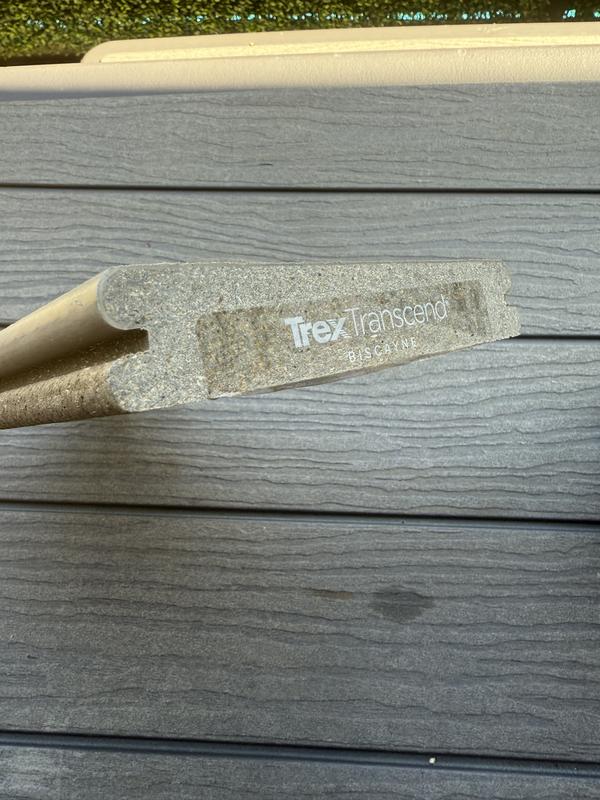 Trex Transcend Lineage 12-in Jasper Composite Deck Board (Sample) in ...