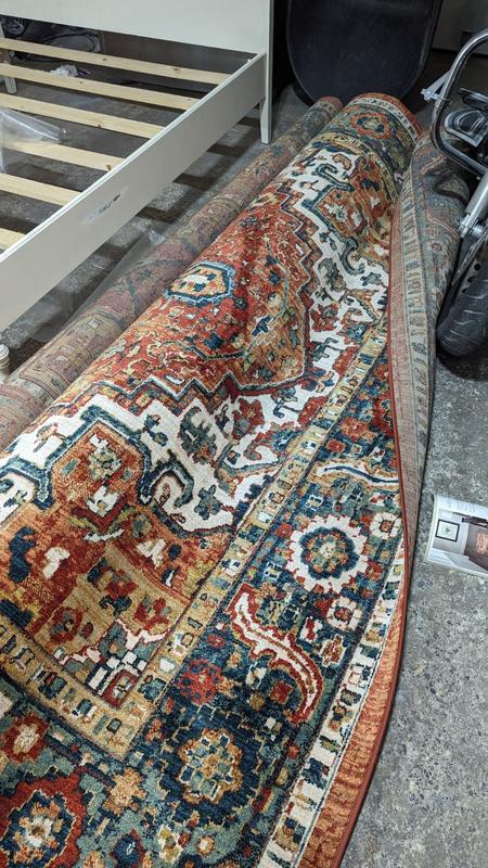 allen + roth with STAINMASTER Jezebel Performance 9 X 12 (ft) Garnet ...