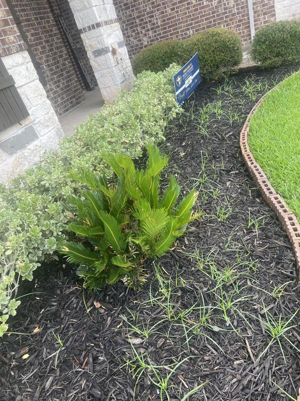 Preen Extended Control Weed Preventer 2-cu ft Brown Mulch Plus Weed ...