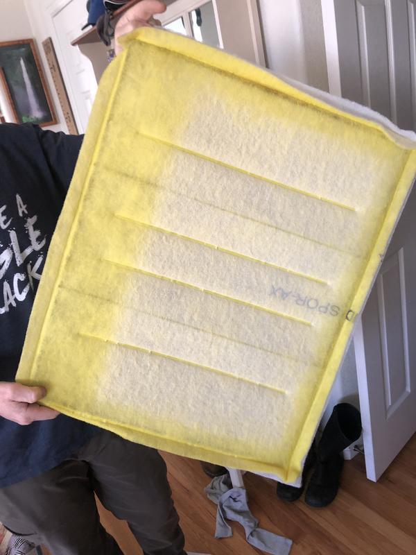 PureGuardian Replacement Humidifier Filter FLTDC at Lowes.com
