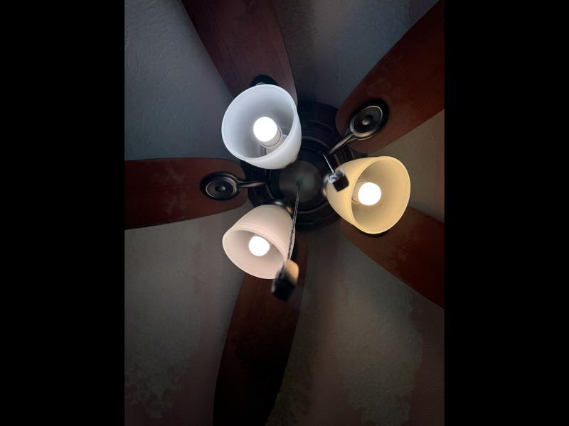 Cree Lighting Mini 60 -Watt EQ A19 Switchable white Medium base (E-26 ...