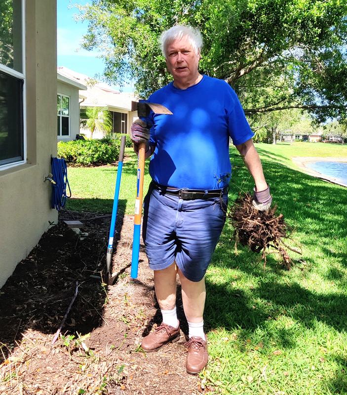 Kobalt 5-lb Hardwood Steel Cutter Mattock in the Pickaxes & Mattocks ...