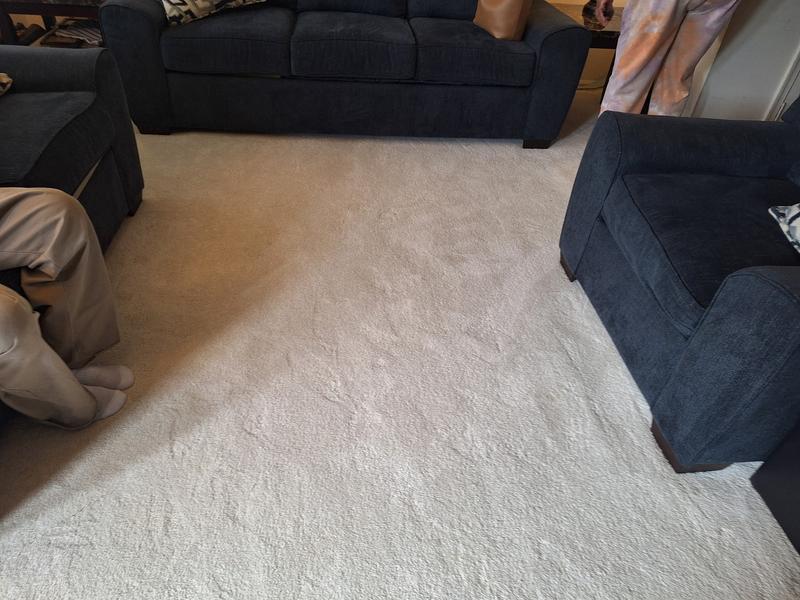 STAINMASTER PetProtect with LeakDefense Happy Howling II Natural Brown ...