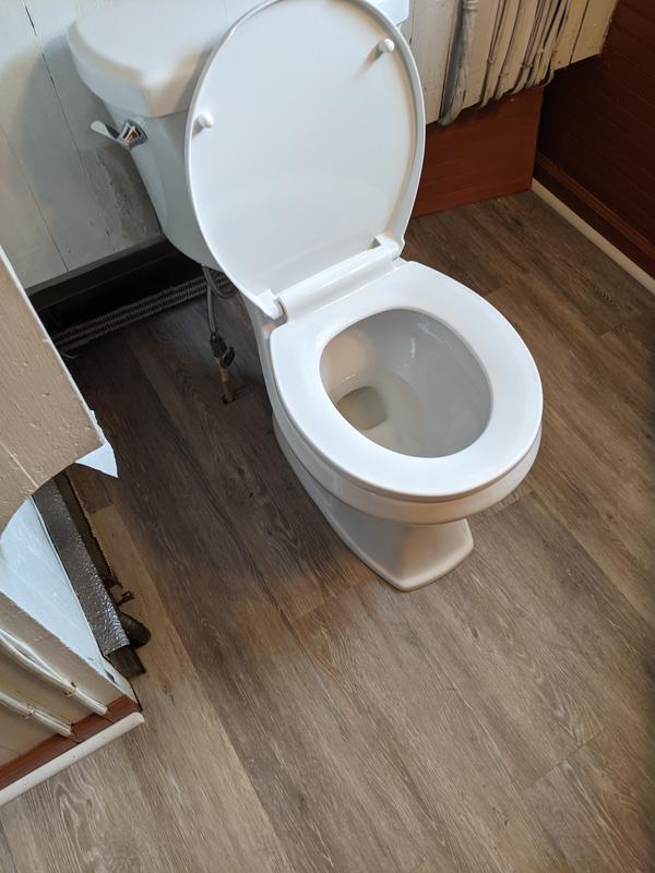 Jacuzzi Lyndsay White Round Chair Height 2-piece WaterSense Toilet 12 ...
