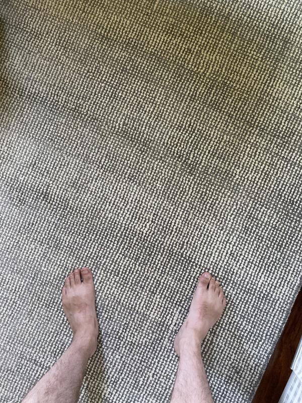 Origin 21 Microdot 8 X 10 (ft) Platinum Indoor Mid-century Modern Area ...