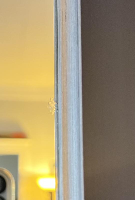 BrandtWorks 25.5-in W x 70.5-in H Rectangle Black/Silver Lined Framed ...