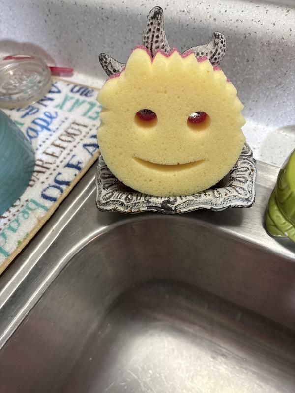 Shop Scrub Daddy Spray & Scrub Duo - Dawn Powerwash Starter Kit and ...