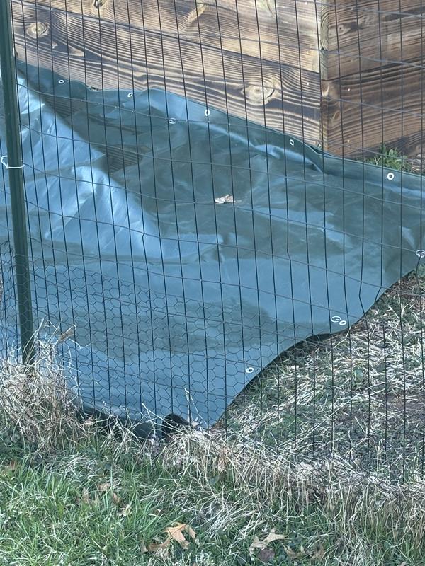 BOEN 20-ft x 20-ft Green Waterproof Commercial Polyethylene 16-mil Tarp ...