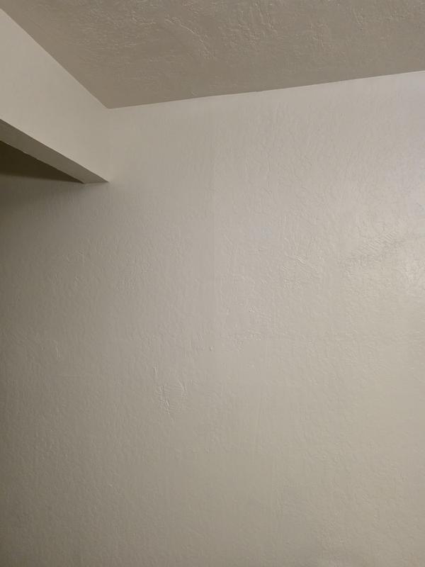 HGTV HOME by Sherwin-Williams Showcase Semi-gloss Gentry Violet ...