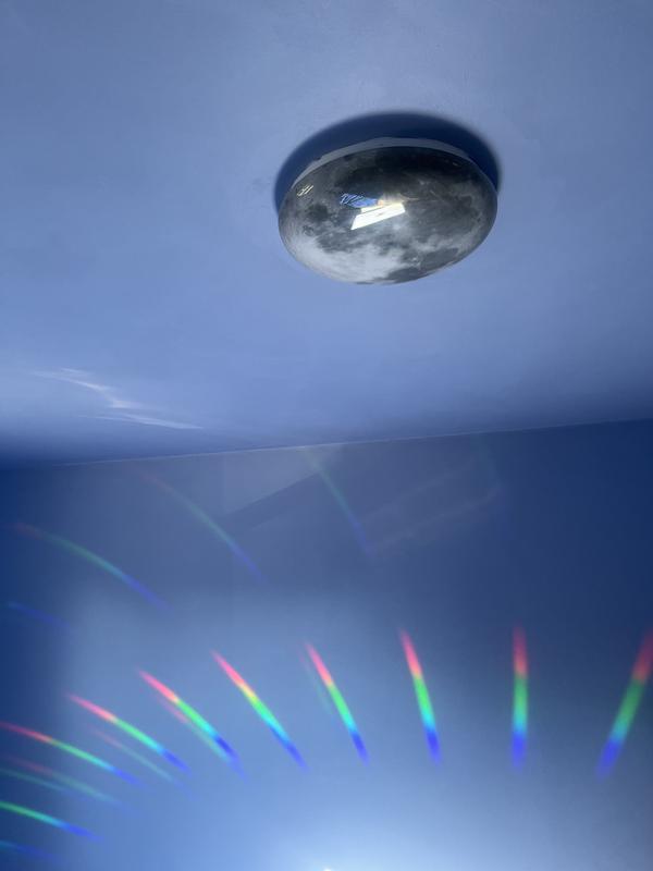 C Cattleya 1-Light 15-in Gray Indoor/Outdoor Flush Mount Light LCA2519 ...