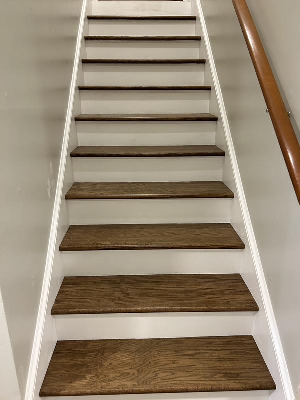 Squeeeeek No More 3-in Gold Kit 1-sq ft (50-Pack) 3251 at Lowes.com
