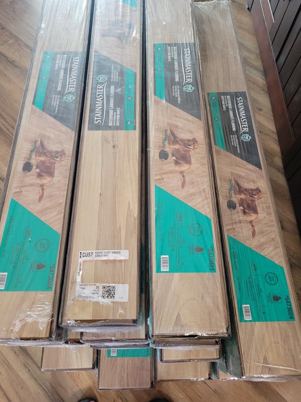 STAINMASTER PetProtect Beckett Ridge Chestnut 12-mm T x 7-1/2-in W x 47 ...