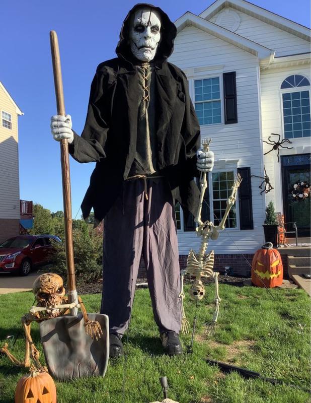 Haunted Living 5-ft 4-Pack Posable Bone Skeletons 221791 at Lowes.com