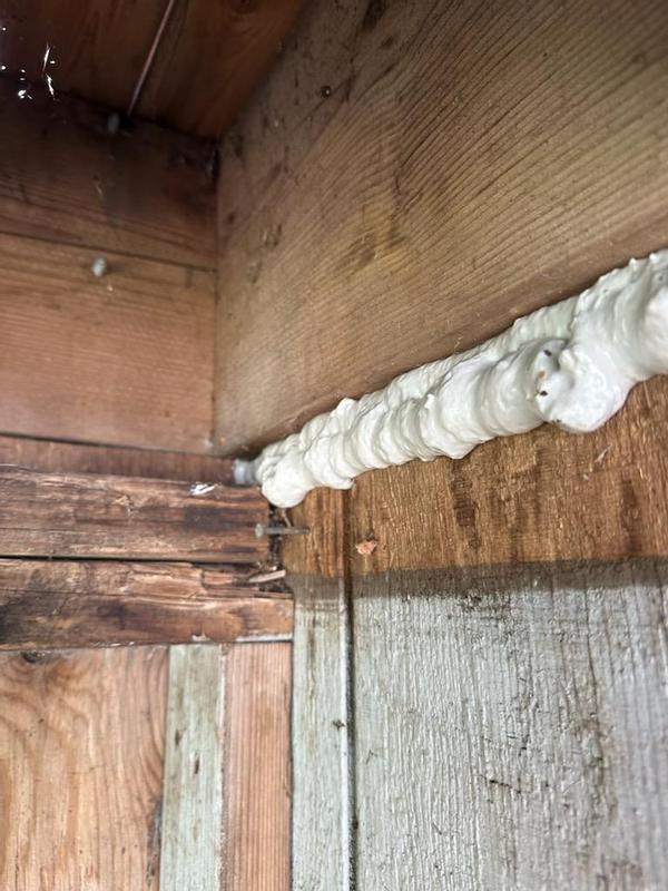 TOMCAT Rodent Block Expanding Foam Barrier Rat Prevent 4418510 at Lowes.com