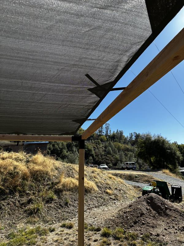 Simpson Strong-Tie Outdoor Accents Sage Pergola System 10-ft x 10-ft ...