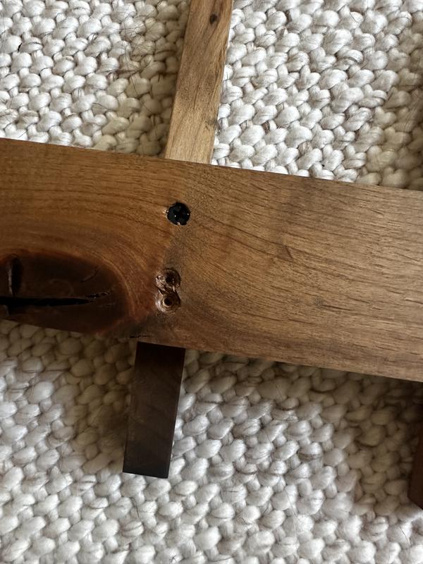 TRINITY 5-Hook 24-in x 2.5-in H Walnut Decorative Wall Hook (15-lb ...