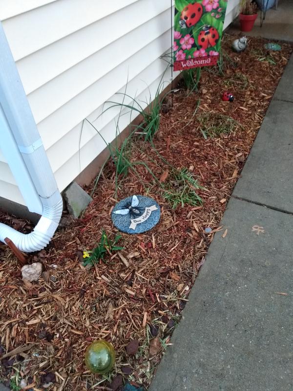 NoFloat 2-cu ft Cypress Blend Mulch in the Bagged Mulch department at ...