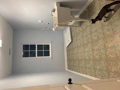 HGTV HOME by Sherwin-Williams Icelandic Blue HGSW2397 Paint sample ...