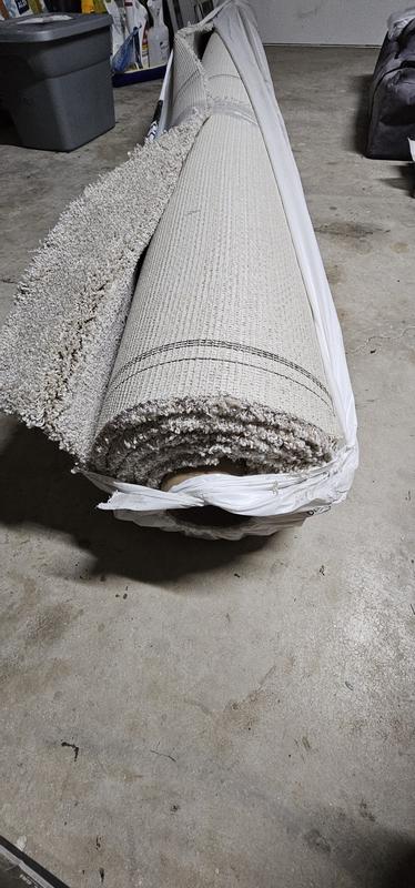 STAINMASTER Animated I Summer Straw Tan 48.8-oz sq yard Solution-dyed ...