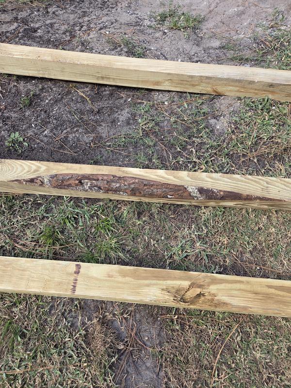 Shop Pavestone Bench (14" L x 6' W x 18" H)- Small at Lowes.com