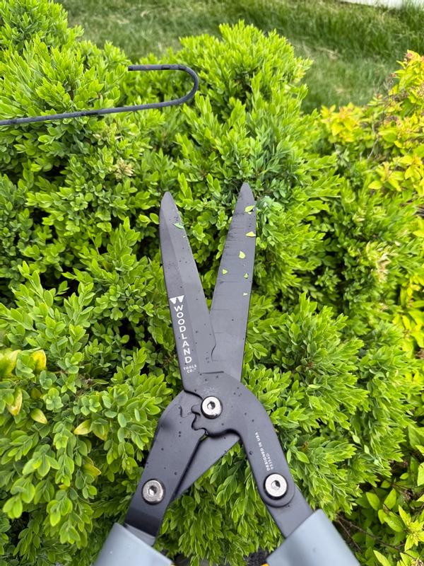 Woodland Tools 10-in Standard Hedge Shears in the Hedge Shears ...