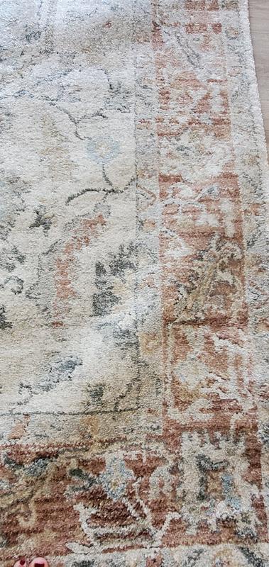 allen + roth with STAINMASTER Himalayan Dream 5 X 8 (ft) Cream Indoor ...