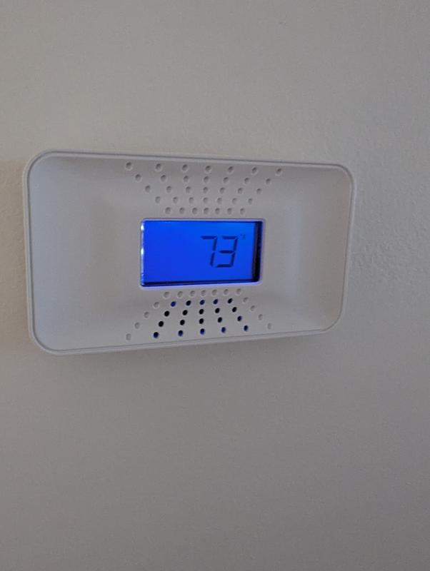 First Alert 10-Year Battery-operated Carbon Monoxide Detector 1039752 ...