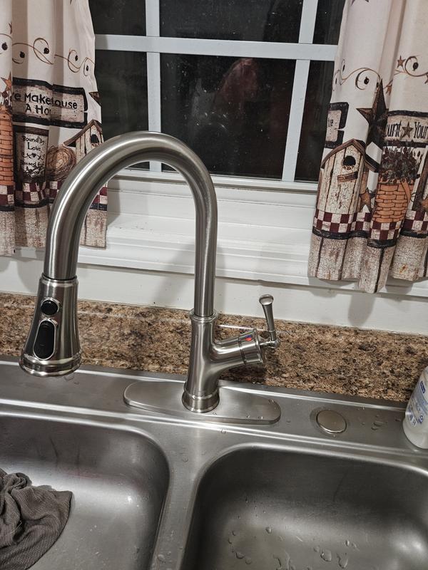 APPASO Brushed Nickel Single Handle Kitchen Faucet with Sprayer (Deck ...