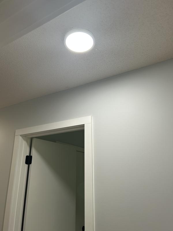 Project Source 1 -Light 7.5-in Matte Multiple colors/finishes ...