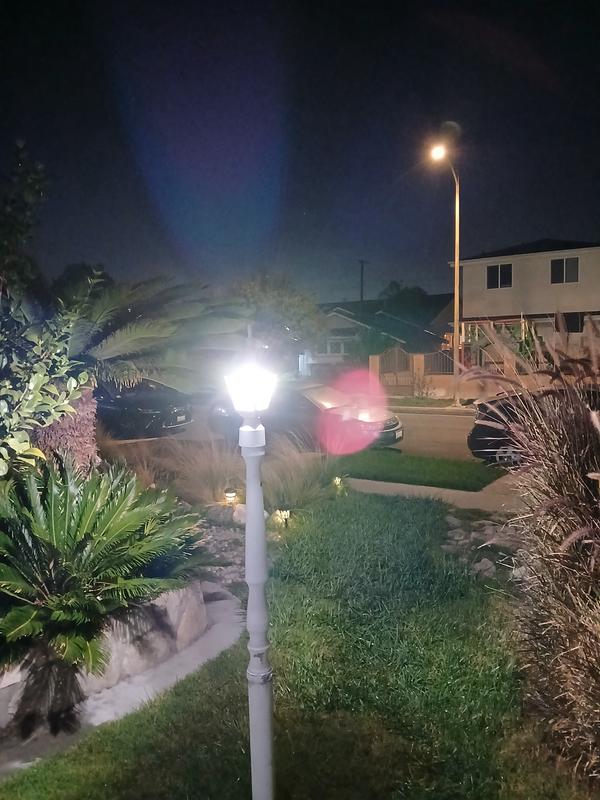 Cree Lighting White Filament 100 -Watt EQ ST19 Soft white Medium base ...
