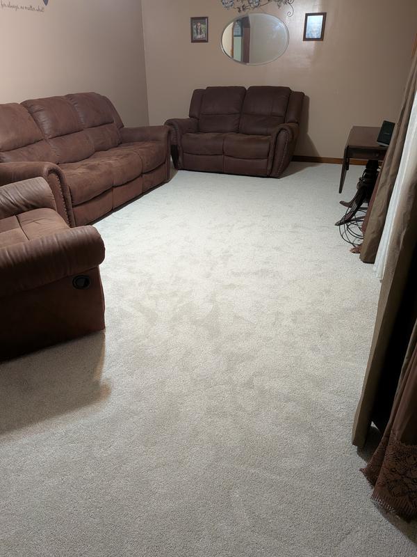 STAINMASTER PetProtect with LeakDefense Terrific Tails III Marble Gray ...